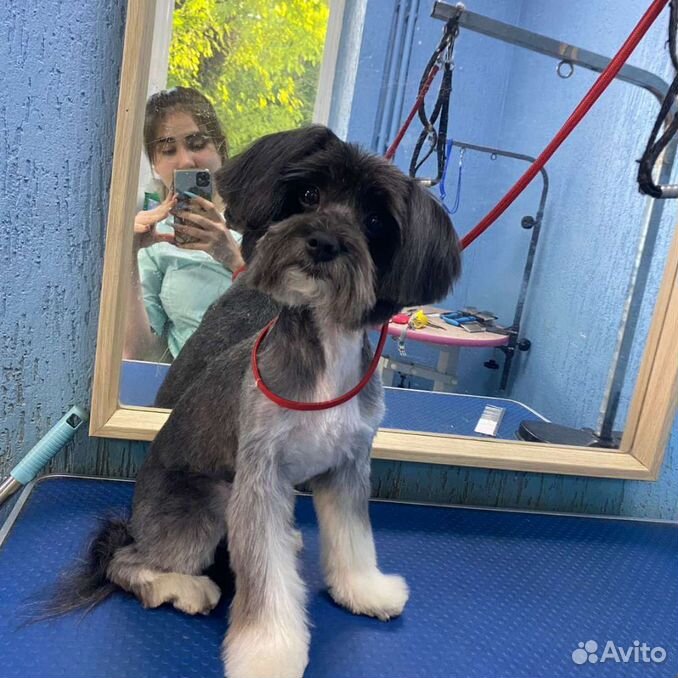 Бивер вязка