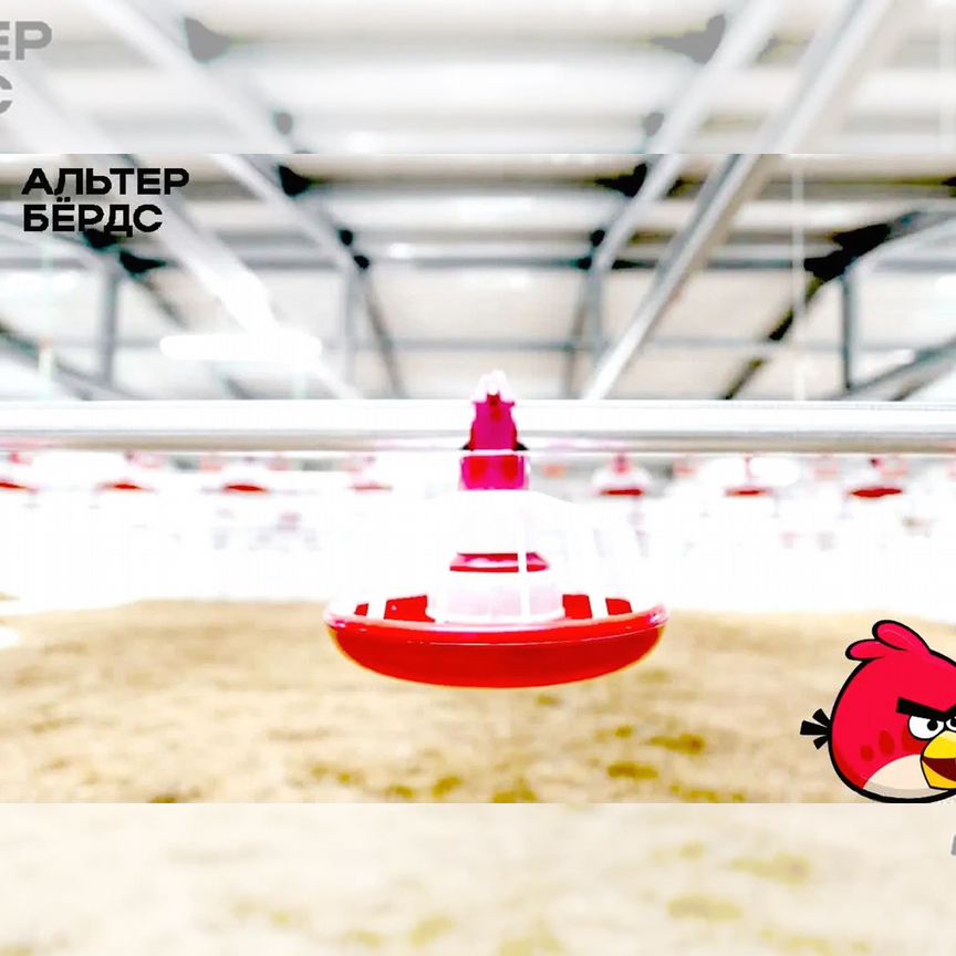 Кормушка для бройлерных кур