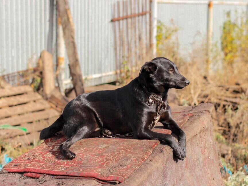 Стерилизованная Эрика