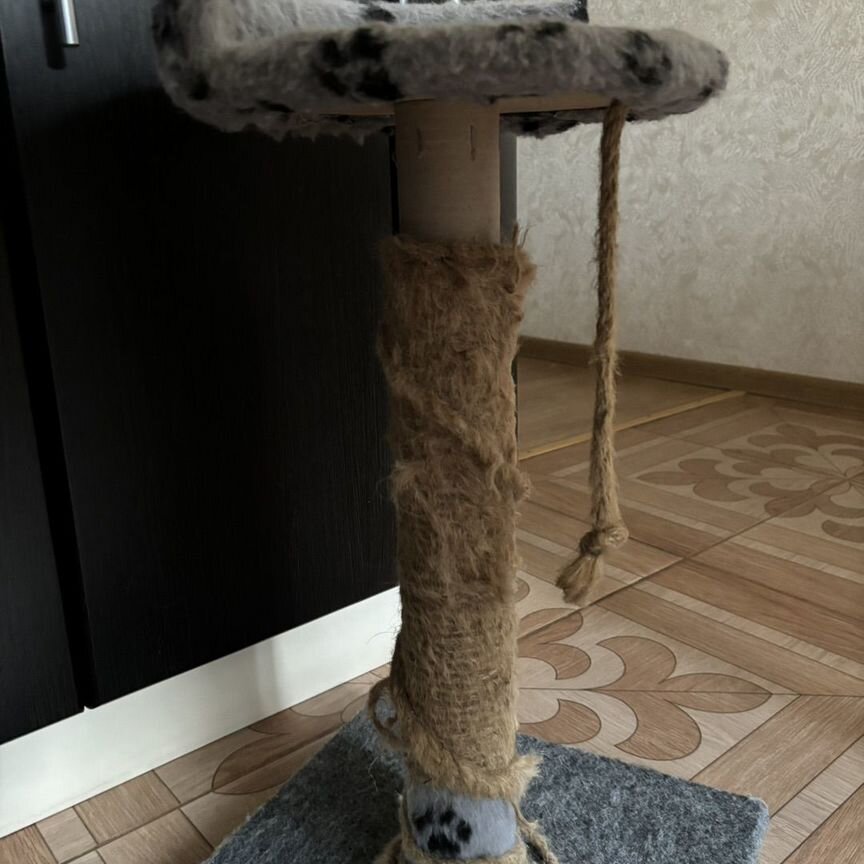 Когтеточка