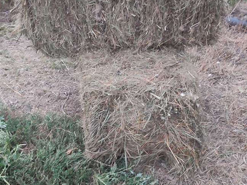 Сено в тюках 2023