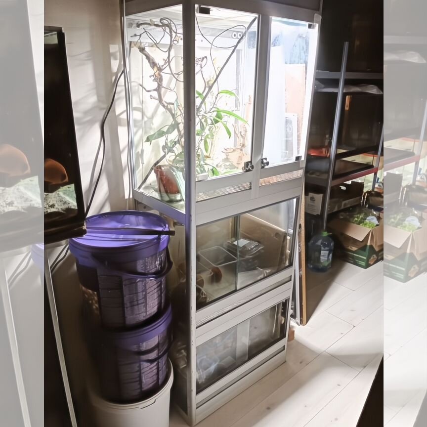 Террариумная витрина