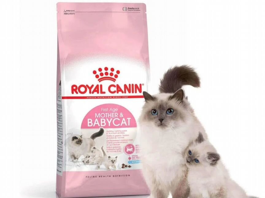 Корм для котят от 1.2 кг Роял Канин (Royal Canin)