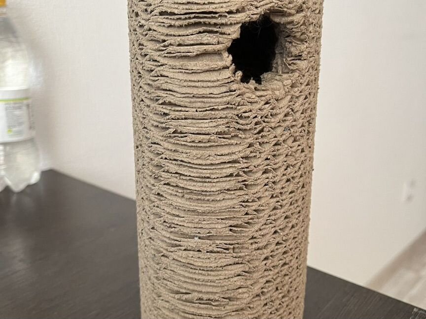 Царапки для кошек