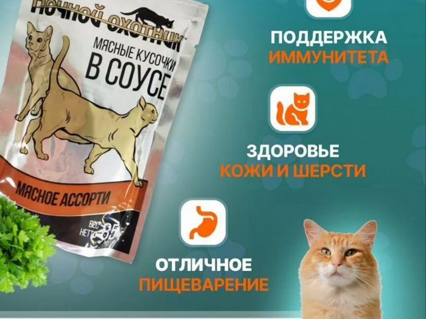 Влажный корм для кошек
