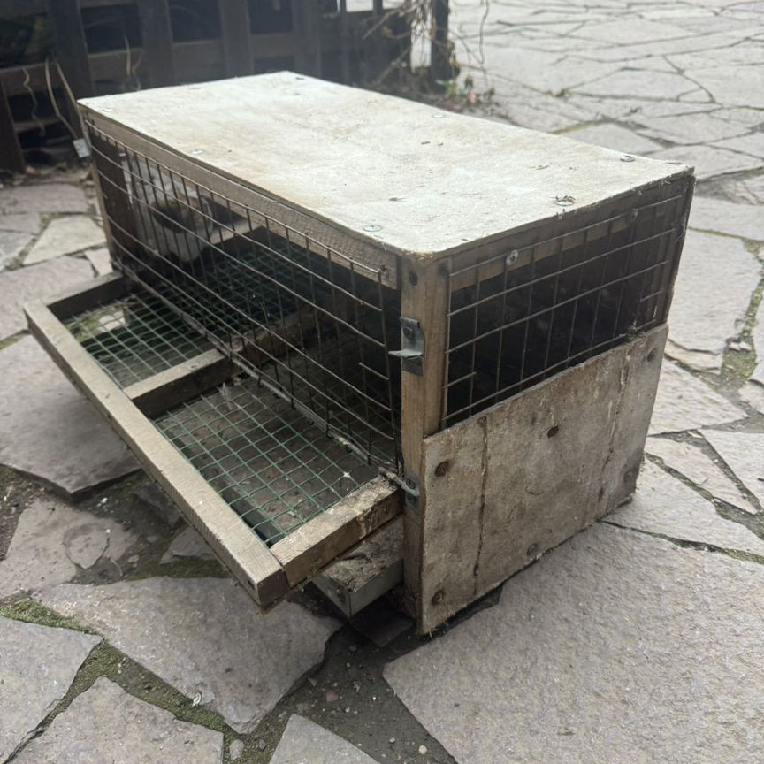 Клетка для перепелок бу