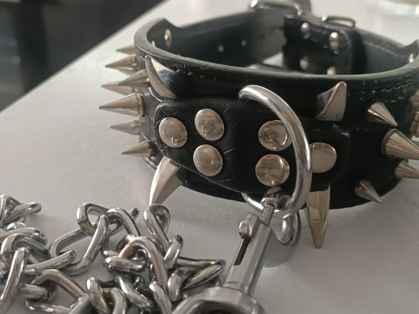 Ошейник для собак