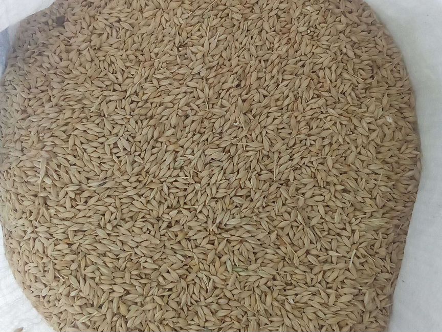 Корма для животных