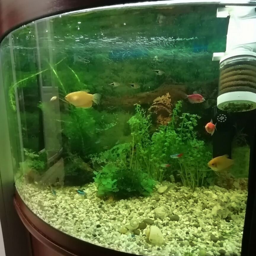 Аквариум с тумбой 100л