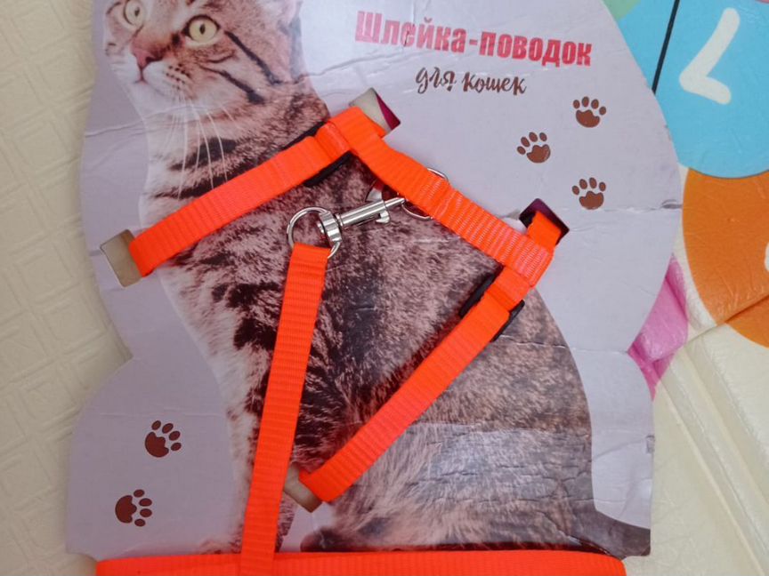 Шлейка для кошки