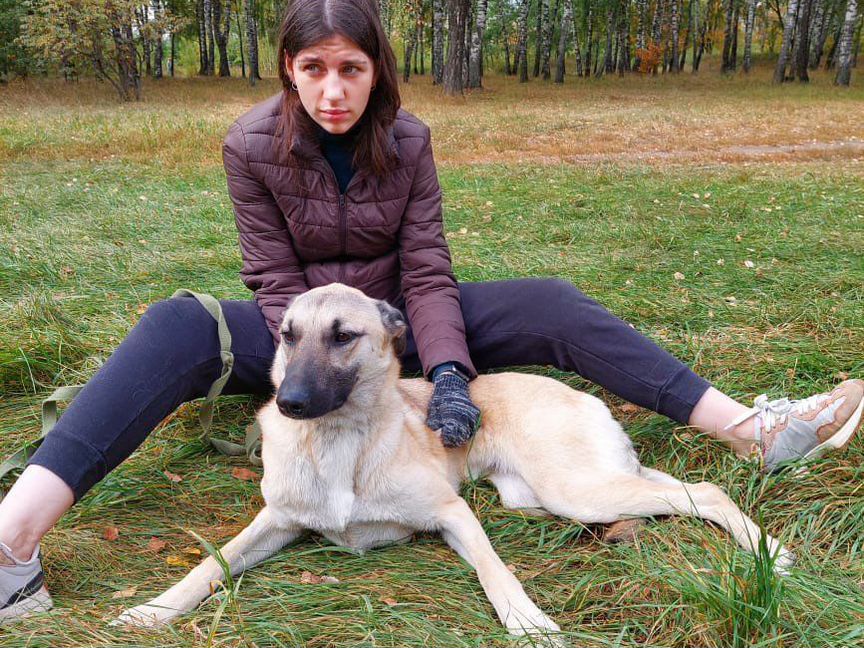 Кто заберет обычную собаку из приюта