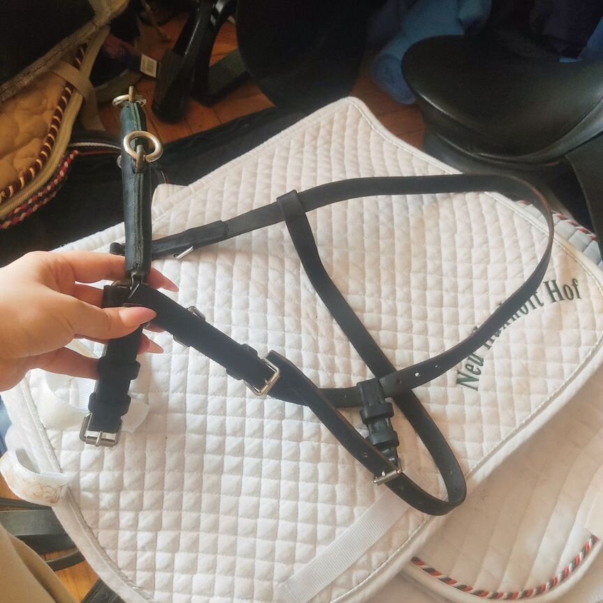 Кавессон для лошади