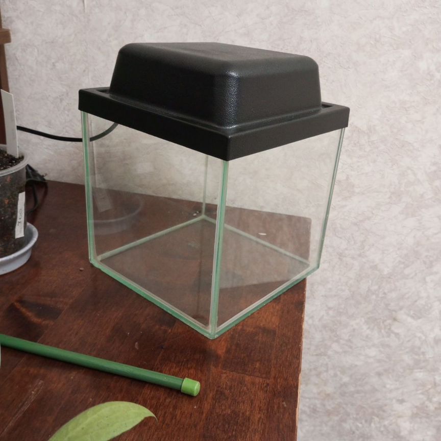 Аквариум флорариум куб
