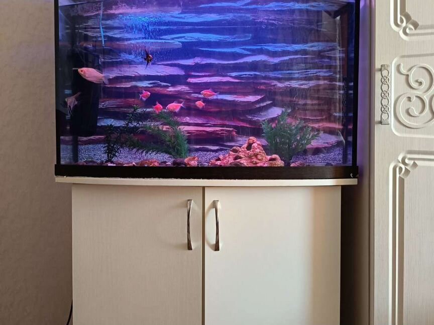 Аквариум с тумбой