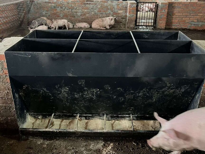 Кормушка для Свиней Телят Групповая Двухсторонняя