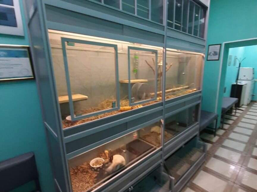 Стеллаж стойка для животных и птиц