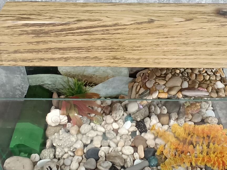 Террариум для черепах с комплектацией