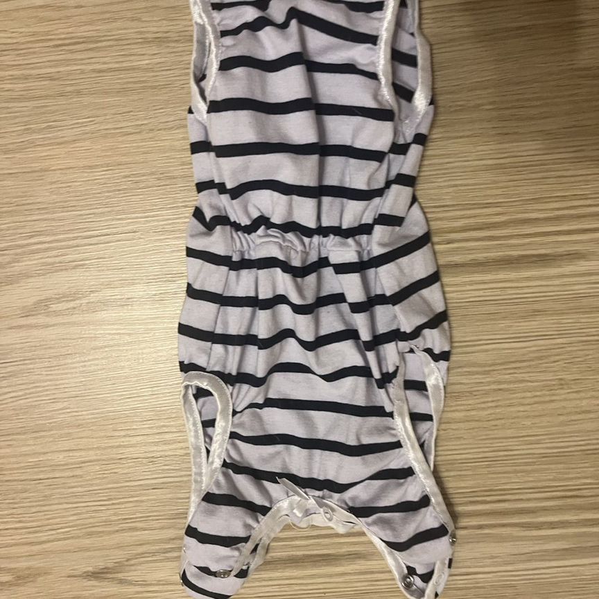 Боди для собак и кошек