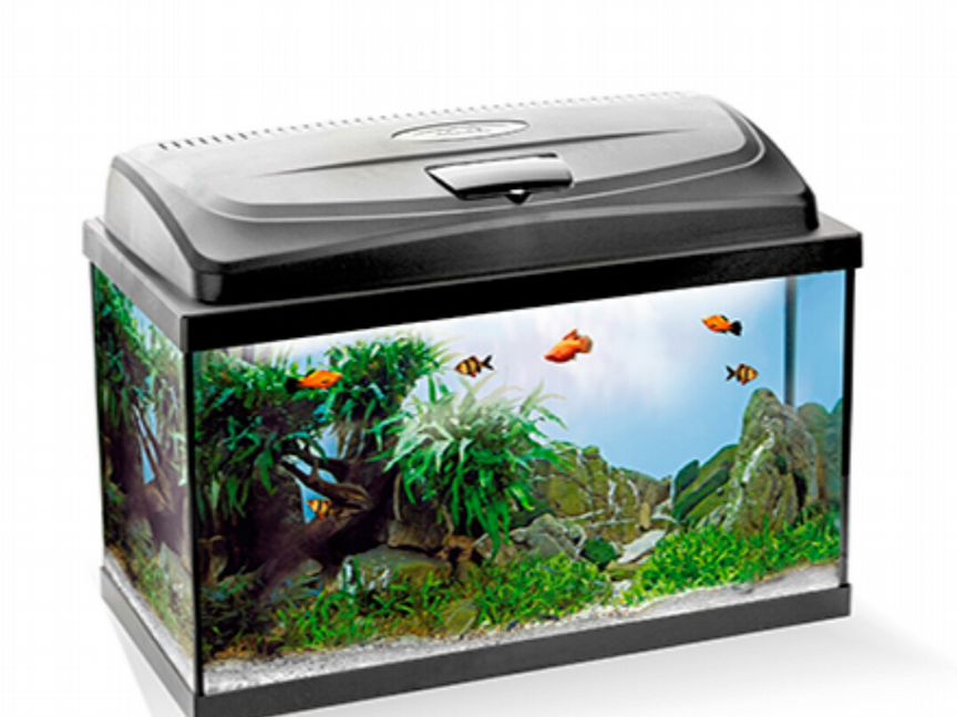 Аквариум 60\40\30