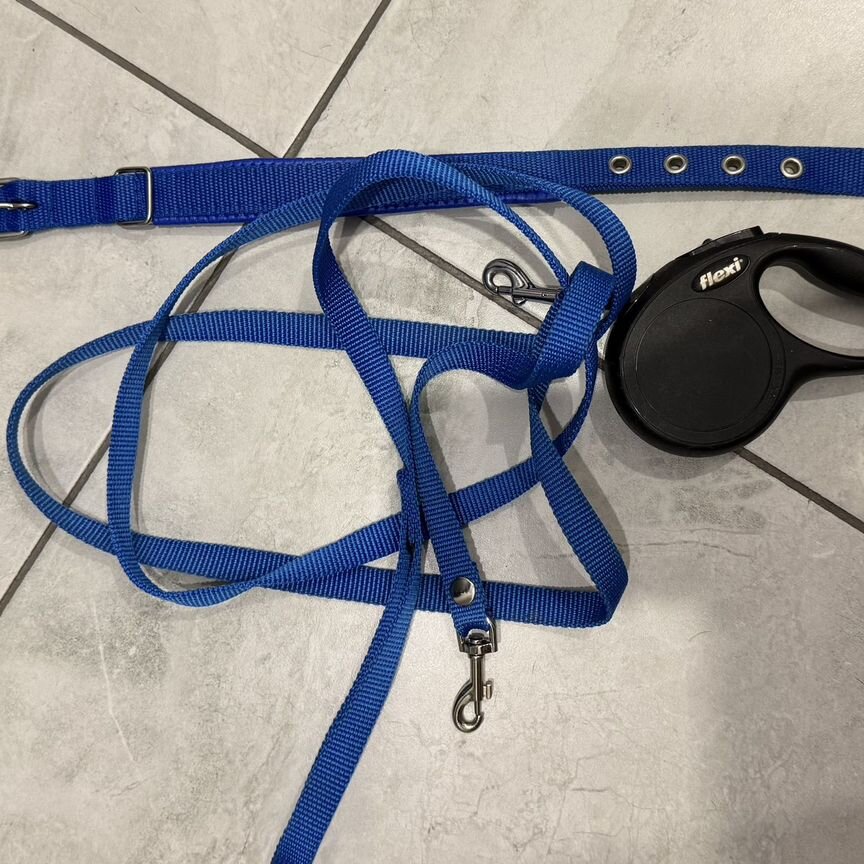 Поводок рулетка flexi xs, ошейник