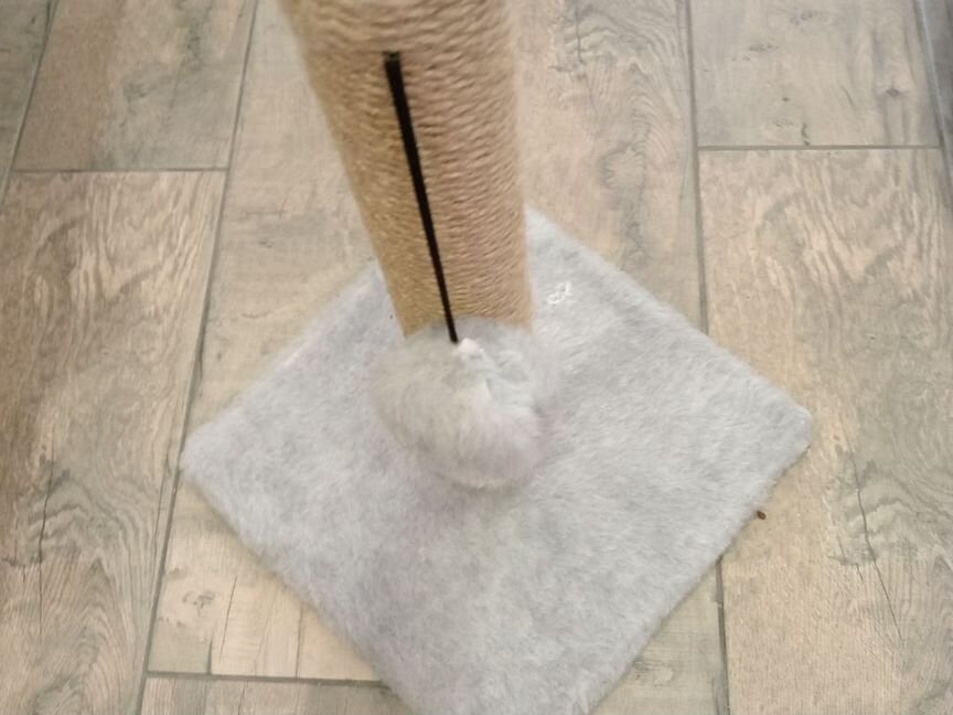 Когтеточка