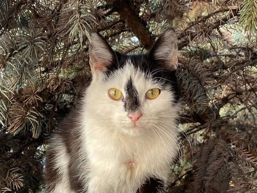 Черно белый мальчик подросток