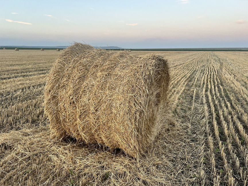 Солома в тюках