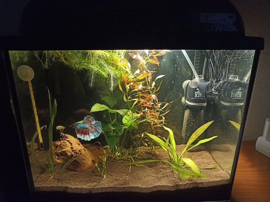 Аквариум 25 литров