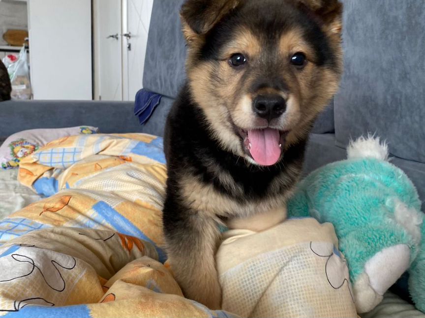 Красотка Юки