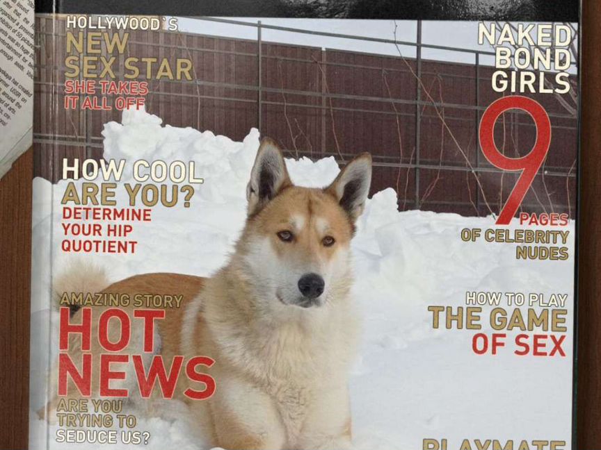 Вязка зсл мальчик