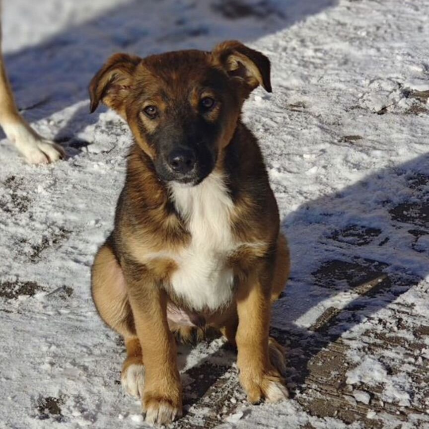 Мальчик красавчик