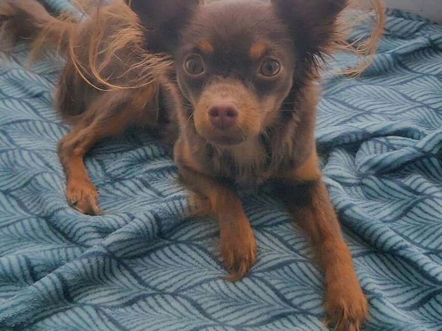 Наш мальчик ищет подружку