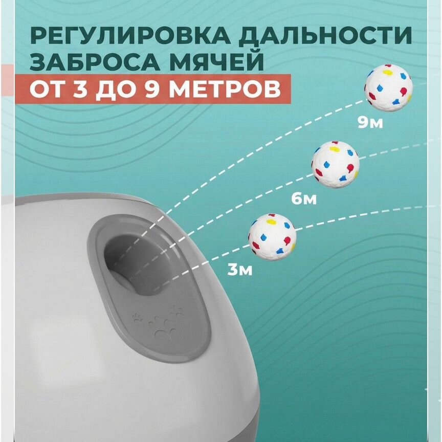 Интерактивная катапульта для собак