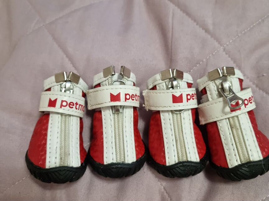 Обувь для собак мелких пород