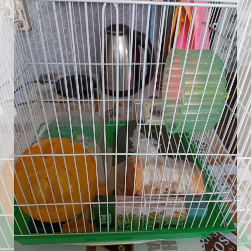 Клетка для грызунов