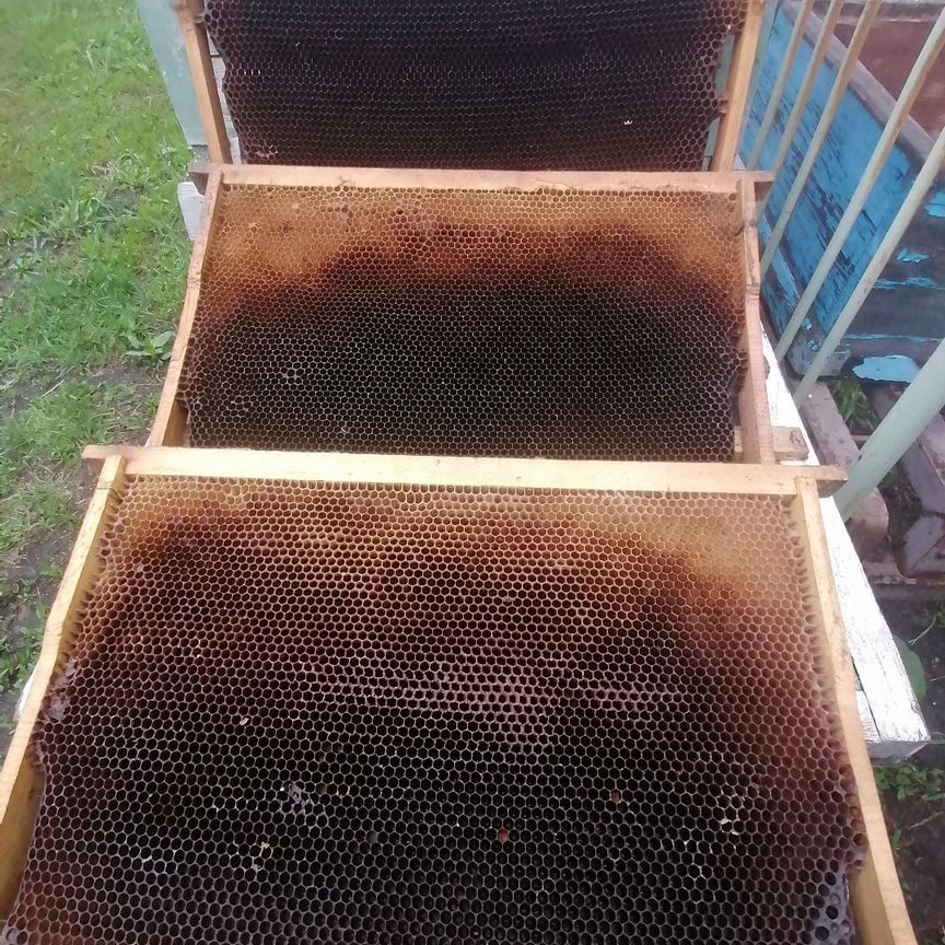 Рамки с сушью