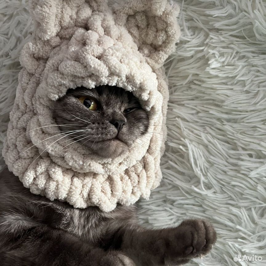 Шапка для собак и кошек