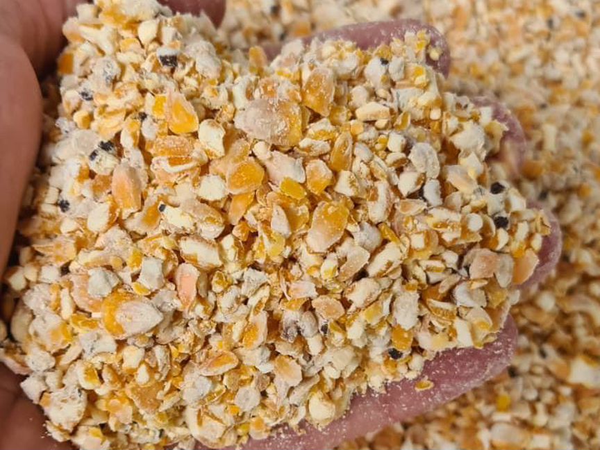 Кукуруза дроблëнная