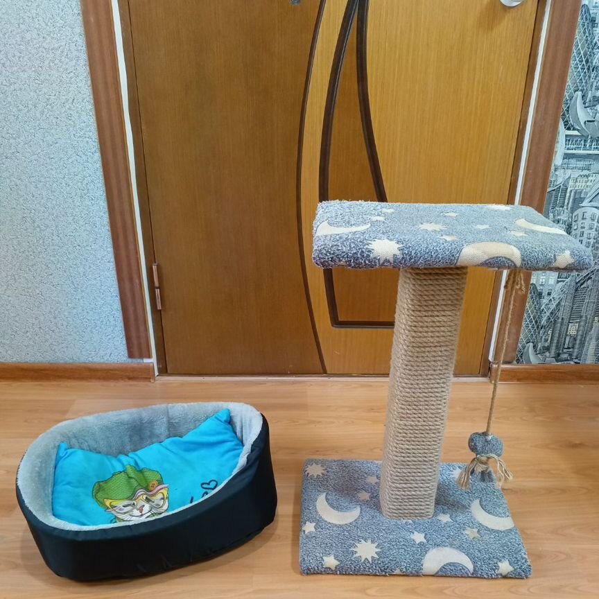 Когтеточка для кошки