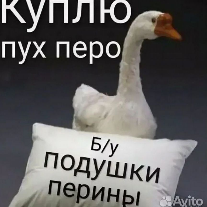 Закупаю пух перо гусиное.и утиное