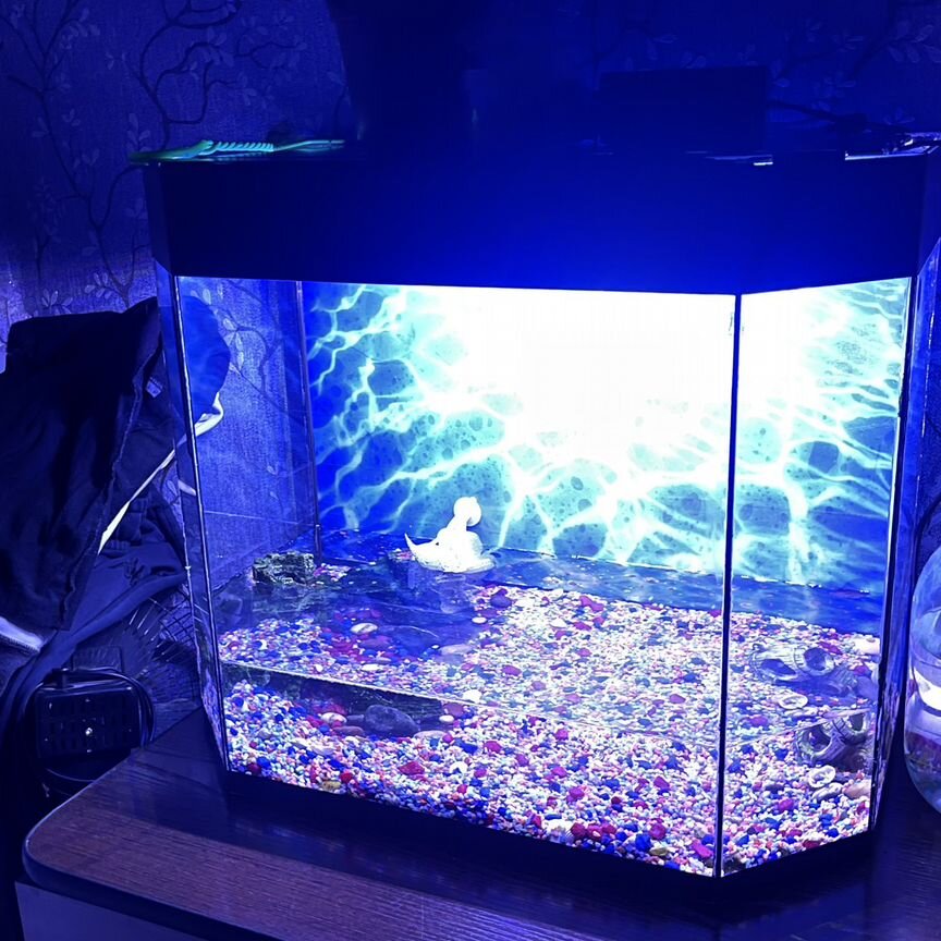 Аквариум для рыбок большой