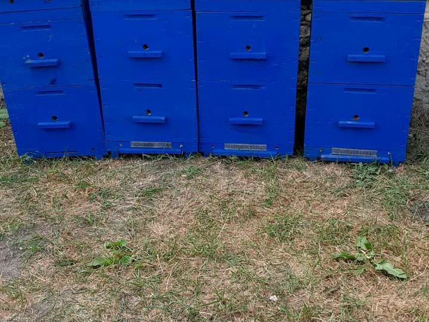 Улей для пчел