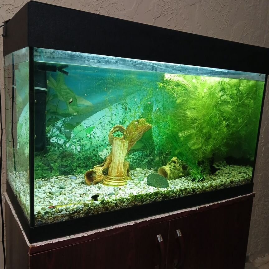 Аквариум с тумбой 140 л