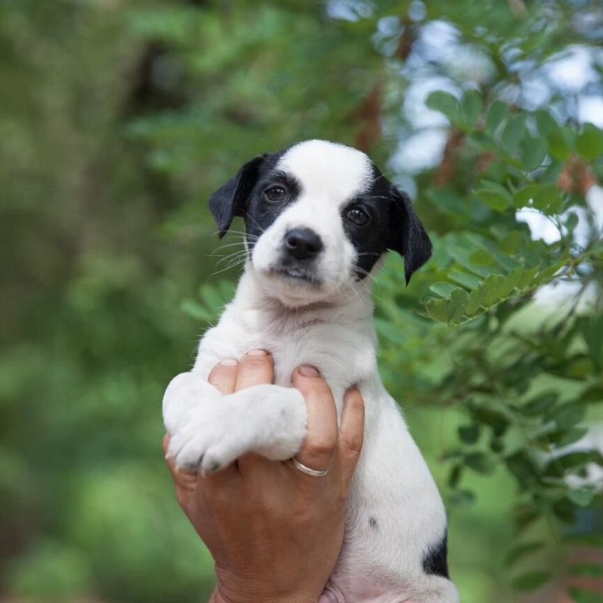 Малыш ждет тебя