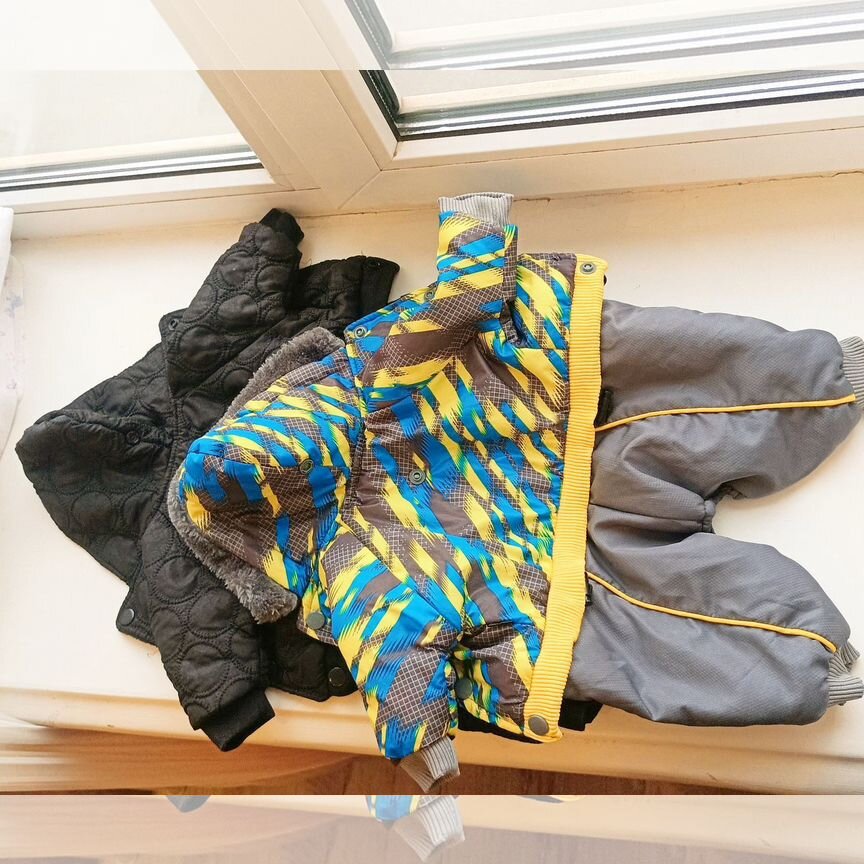 Одежда для животных