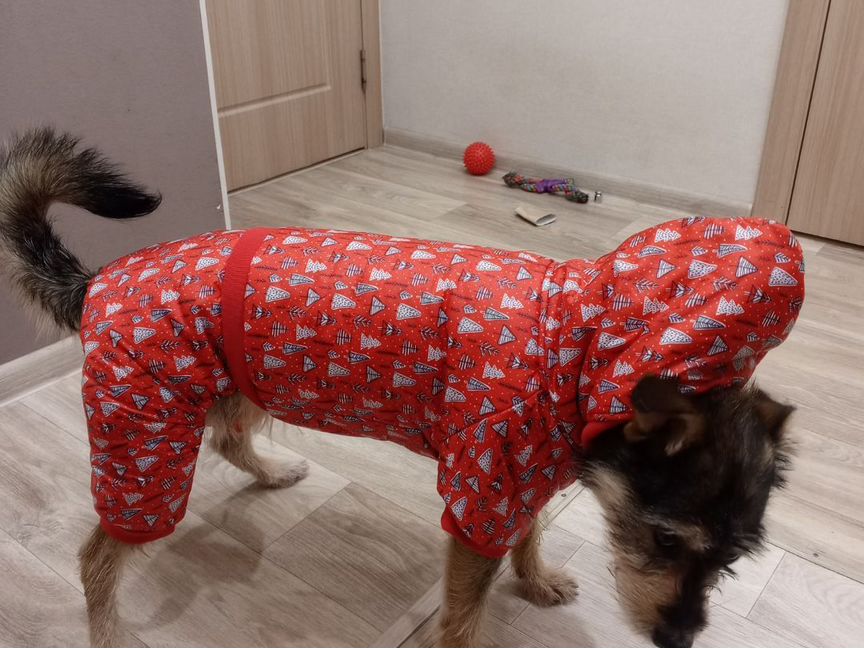 Комбинезон зимний XXL