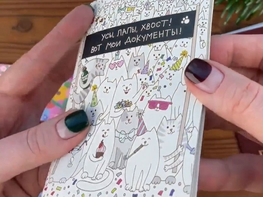 Попона для кошек, чехол на вет паспорт