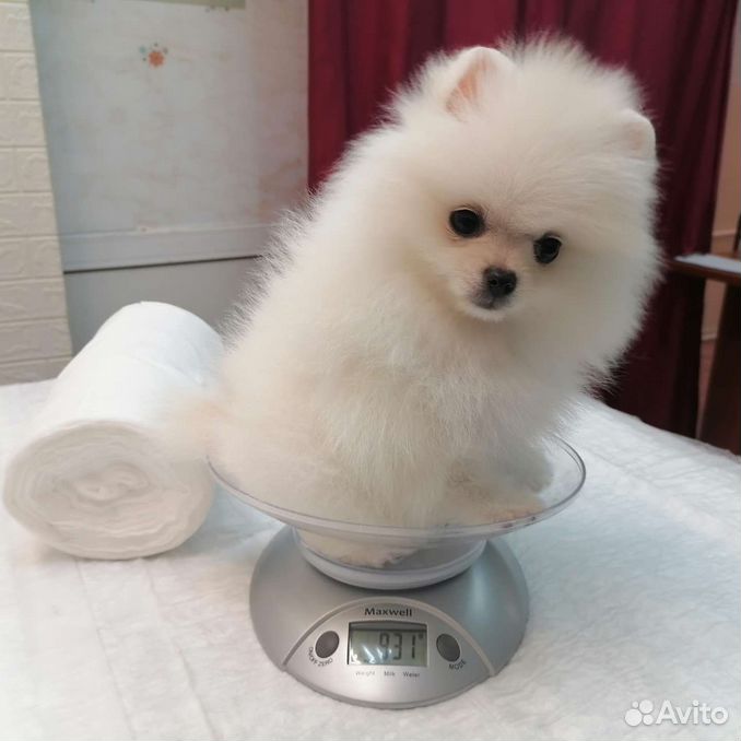 Мальчик спальчик