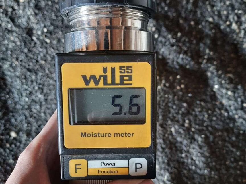 Семечки подсолнечника