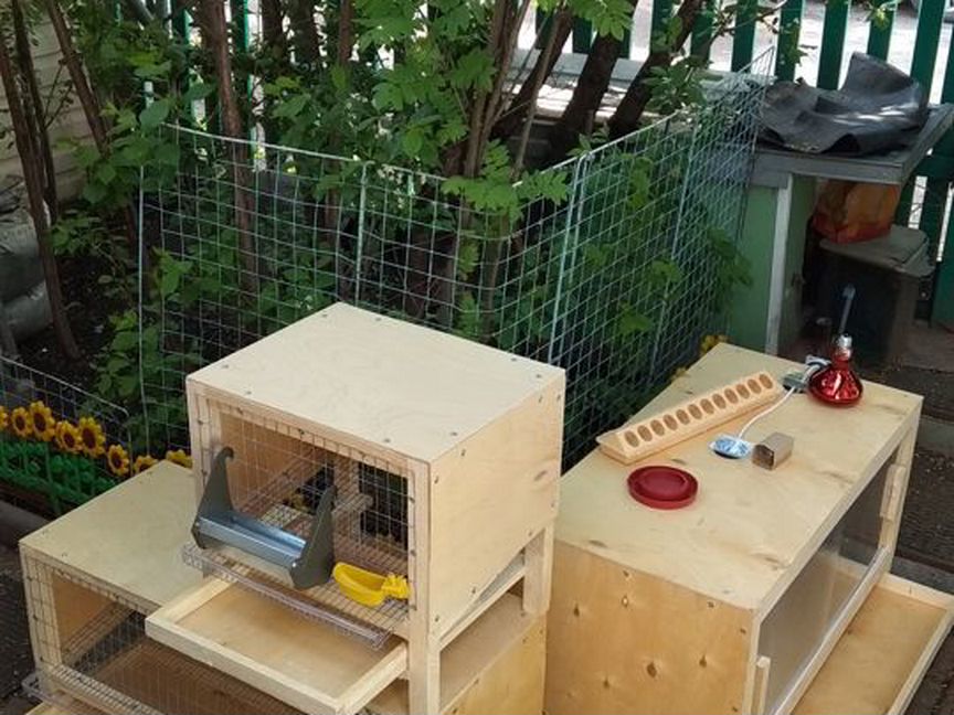 Брудеры. Для цыплят, водоплавающих и др